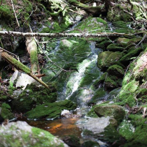 Great Canadian Trails | Active Holidays in Canada