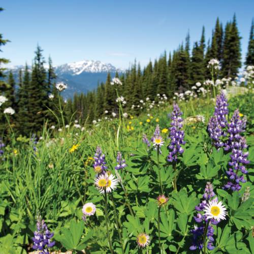 Great Canadian Trails | Active Holidays in Canada