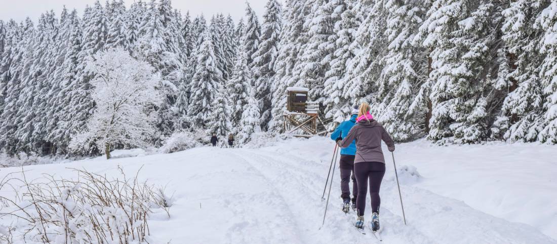 A First Timer’s Guide to Cross-Country Skiing | Great Canadian Tr